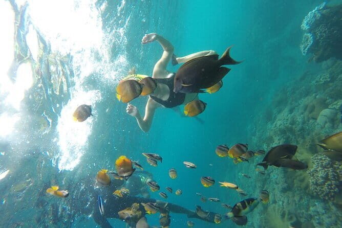 Nusa Penida Snorkling Package - Who Will Love This Tour?