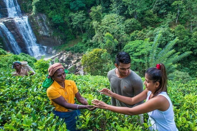 Nuwara Eliya Highlights: Waterfall, Tea & Picturesque Train Ride - How It All Comes Together