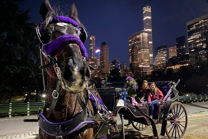 NYC Central Park & Rockefeller Center Private Horse Carriage Tour - What Makes This Tour Stand Out