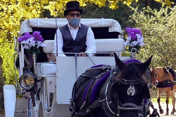 NYC Central Park VIP Horse and Carriage Ride - The Sum Up