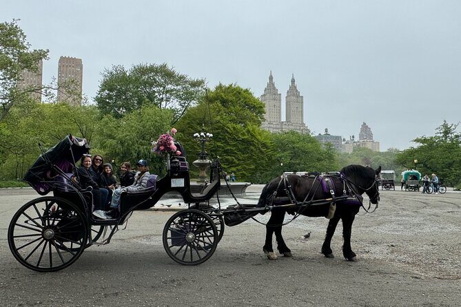 NYC Empire State Horses Carriage Ride in Central Park(55 Min) - The Practicalities: Pricing, Booking, and Logistics