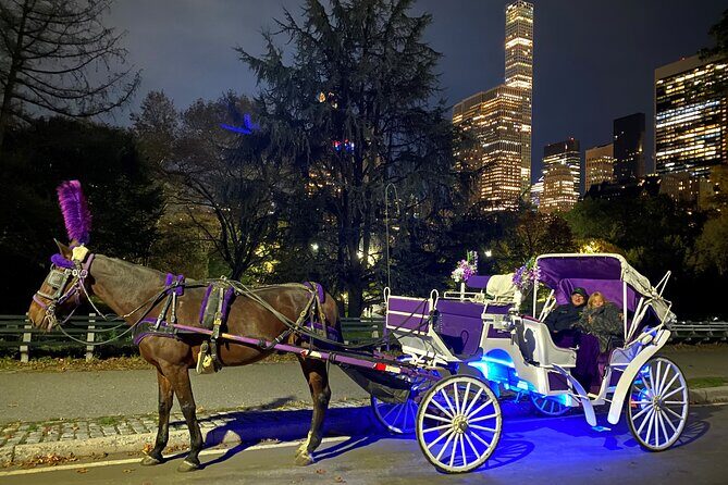 NYC : Magical Christmas Lights Private Horse Carriage Ride - Final Thoughts: Is It Worth It?