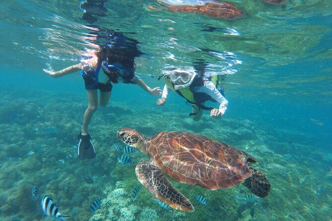 Oahu Coastline Cruise: Turtle Snorkeling and Jumping Platform - Who Should Consider This Tour?
