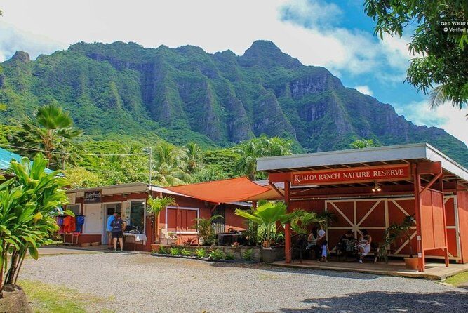 Oahu: North Shore & Dole Plantation Island Discover Tour - Who Is This Tour Best For?