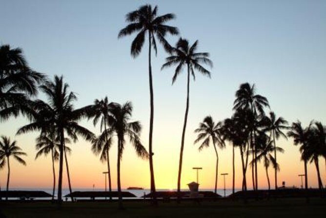 Oahu Tour - Pearl Harbor, Dole Pineapple & Oahu Tour - Transportation and Comfort