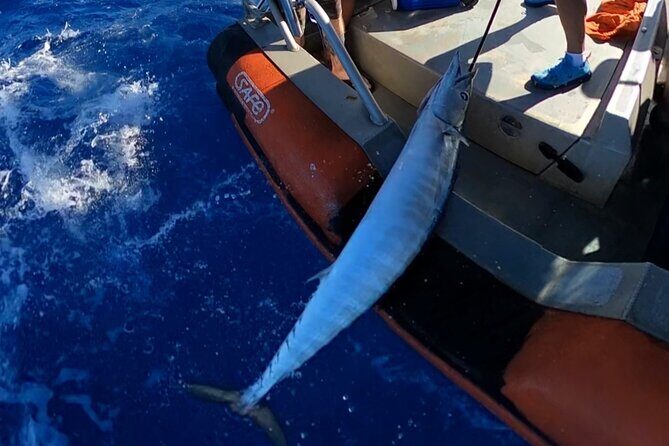 Oahu's Unique Whale Watching and Fishing Charter - Frequently Asked Questions