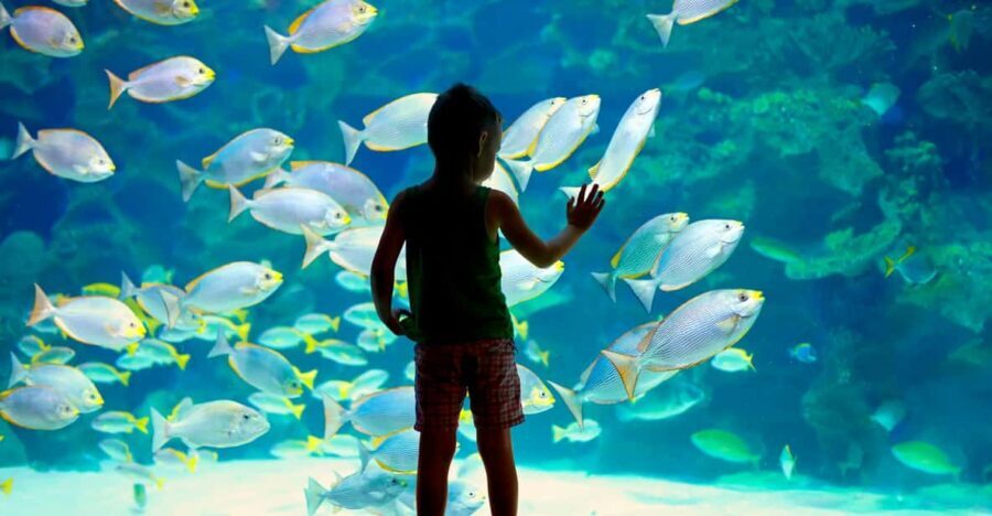 Oceanographic Museum of Monaco Ticket - The Itinerary: What to Expect at Each Stop