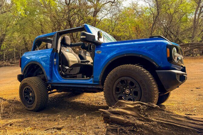 Off Road Coastal Tour 4x4 Vehicle With Snorkel, Photo and Video - In-Depth Breakdown of the Experience