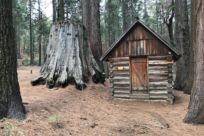Off-Road Giant Sequoia 4x4 Tour - What Travelers Say: Honest Feedback