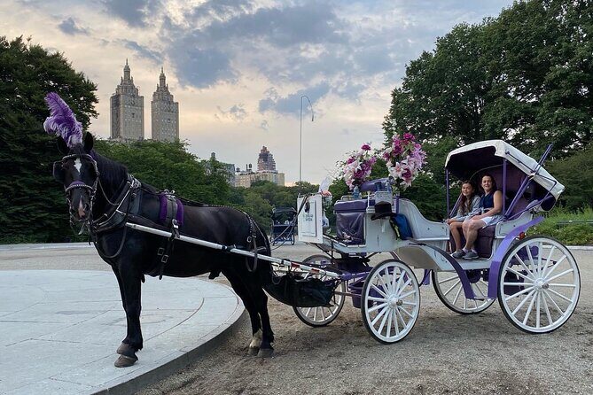 OFFICIAL NYC Central Park Horse Carriage Rides - Who Would Love This Tour?