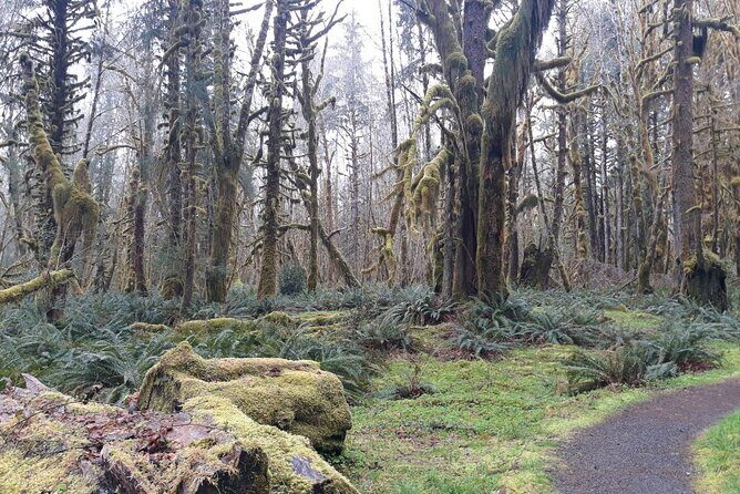 Olympic Peninsula and Forest Tour - Final Thoughts