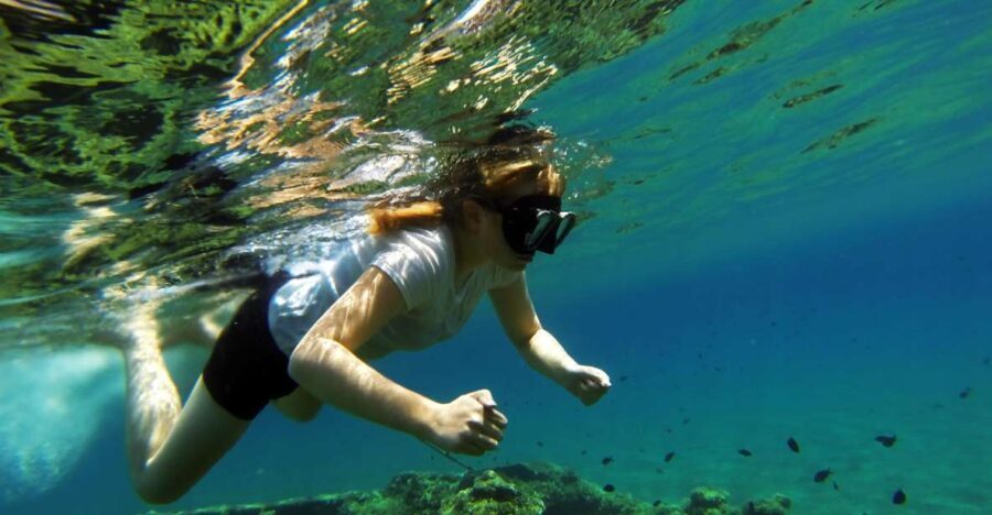 Omi: Kayaking and Snorkeling Tour - Who Should Consider This Tour?