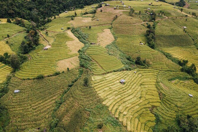 One day Doi Inthanon & Trekking at Pha Dok Siew - In-Depth Look at the Tour