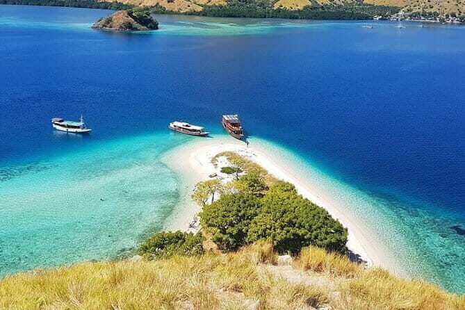 One Day Tours Komodo - Padar Island - The Itinerary in Detail: What Will You Experience?