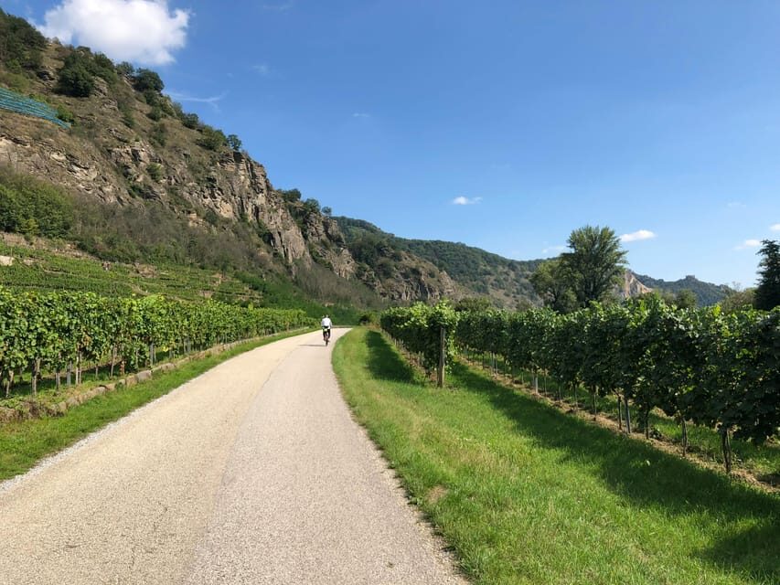 One Day Winery Tour with Wine Tasting and Cheese snack - Practical Details and What You Need to Know