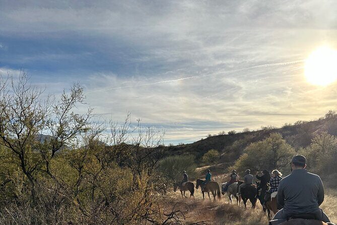 One Hour Guided Horseback Ride - An In-Depth Look at the Experience