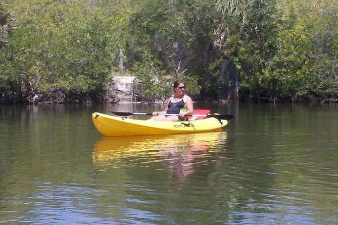 One Single Kayak Rental for 2 hours with Manatee & Dolphin sightings! - The Value of This Rental