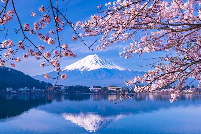 One Way Bus from Hirayu to Kawaguchiko via Mt. Fuji 5th Station - The Itinerary in Detail