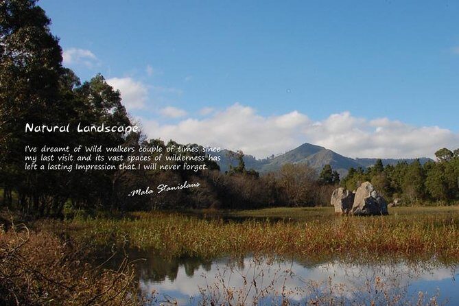 Ooty - Day Trip to Bellikkal Estate - Analyzing the Value: Is It Worth It?