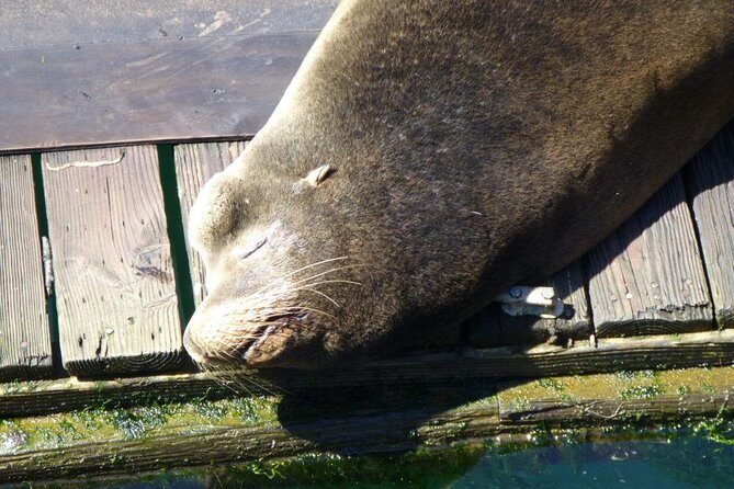 Oregon Coastal Tour: Florence to Yachats - Authentic Experiences and Real Traveler Perspectives