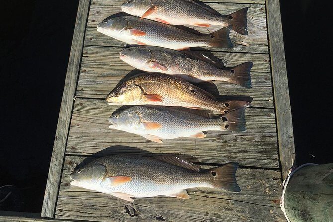 Oriental Neuse River Fishing Trips & Scenic Tours - FAQ