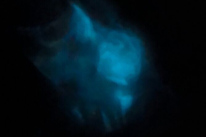 Orlando Bioluminescence Kayak Adventure - The Magic of Bioluminescence