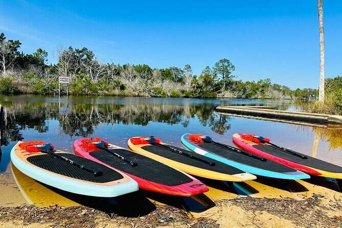 Ormond Beach Manatee and Nature Tour Kayaking or Paddle Boarding - Review Highlights: What Travelers Say