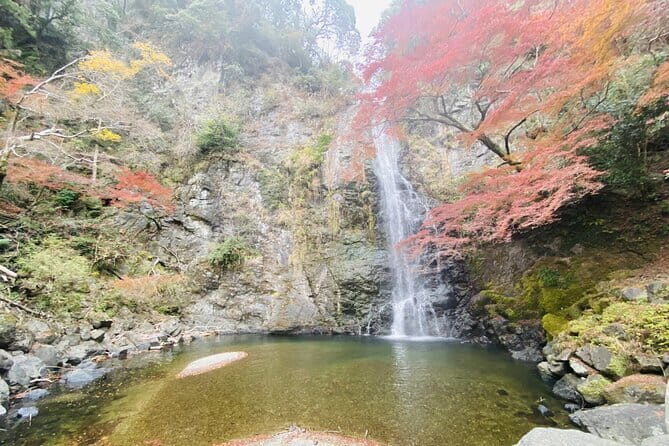 Osaka 8 Hours Tour Explore City and Minoh Falls - What Travelers Say