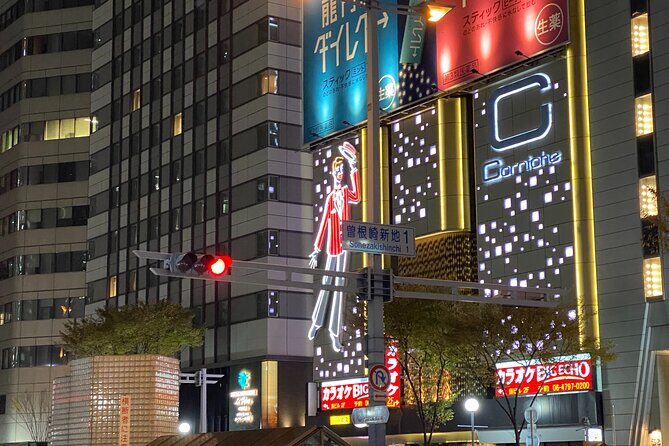 Osaka City Highlights Walking Tour! - The Practicalities