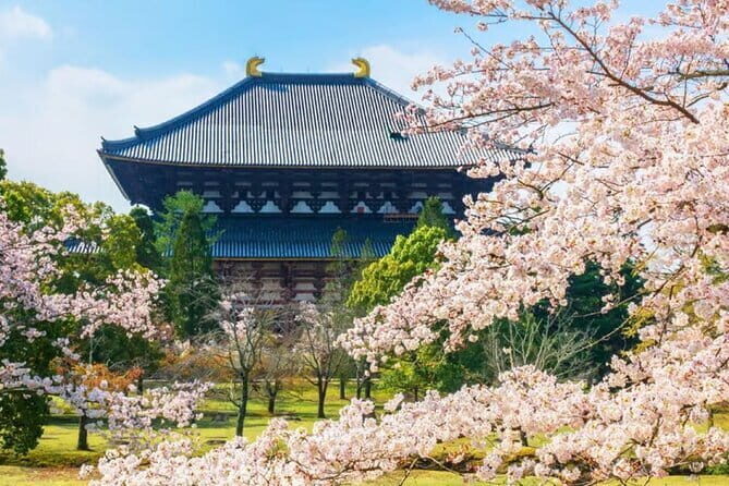 Osaka: Nara, Todaiji, Uji Matcha, and Hot Spring Tour - Transportation and Group Size: Making It Comfortable