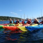 Oslo: 3-hour Kayaking Trip on the Oslofjord - The Itinerary in Detail
