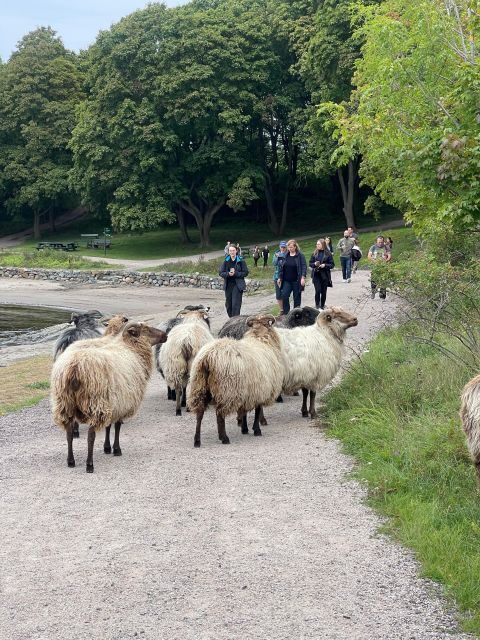 Oslo Island Walks: Island Hopping Tour - What Makes This Tour Stand Out?