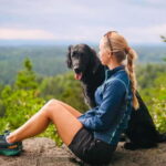 Oslo: Scenic Forest Hike with Dog & Local Guide - Why This Hike Is Worth It