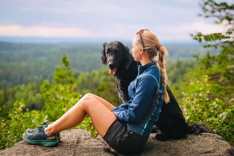Oslo: Scenic Forest Hike with Dog & Local Guide - Why This Hike Is Worth It