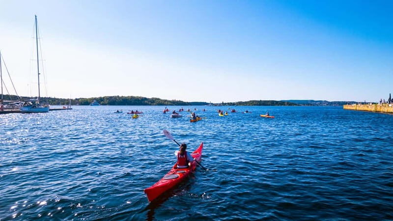 Oslo Sea Kayak Tour Fjord City - Authentic Feedback from Travelers