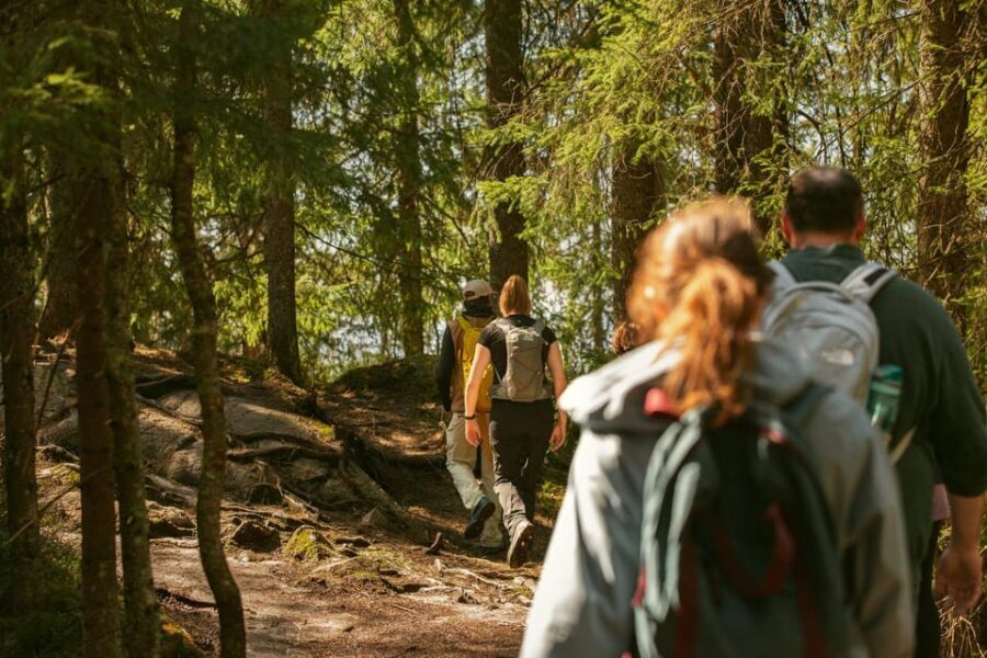 Oslo: The Spectacular Holmenkollen Walk - What the Reviews Say