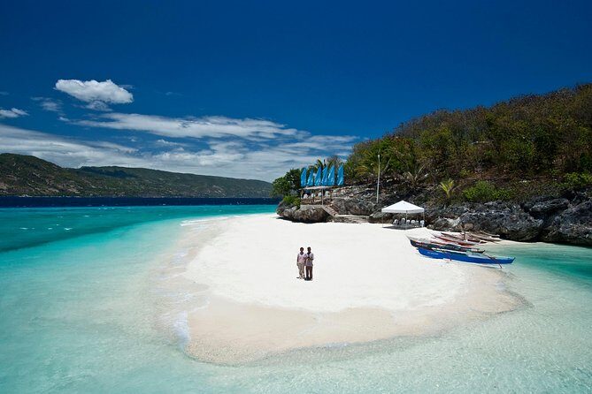 Oslob Whalesharks & Aguinid Falls w/ Sumilon Sandbar (3in1) - The Value Proposition