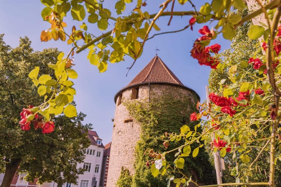Osnabrück: Express Walk with a Local - The Breakdown: What You Can Expect