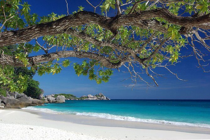 Overnight Angthong Marine Park - Authentic Experiences and Traveler Insights