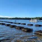 Oyster Tasting and Kayak Tour - Who Will Love This Tour?