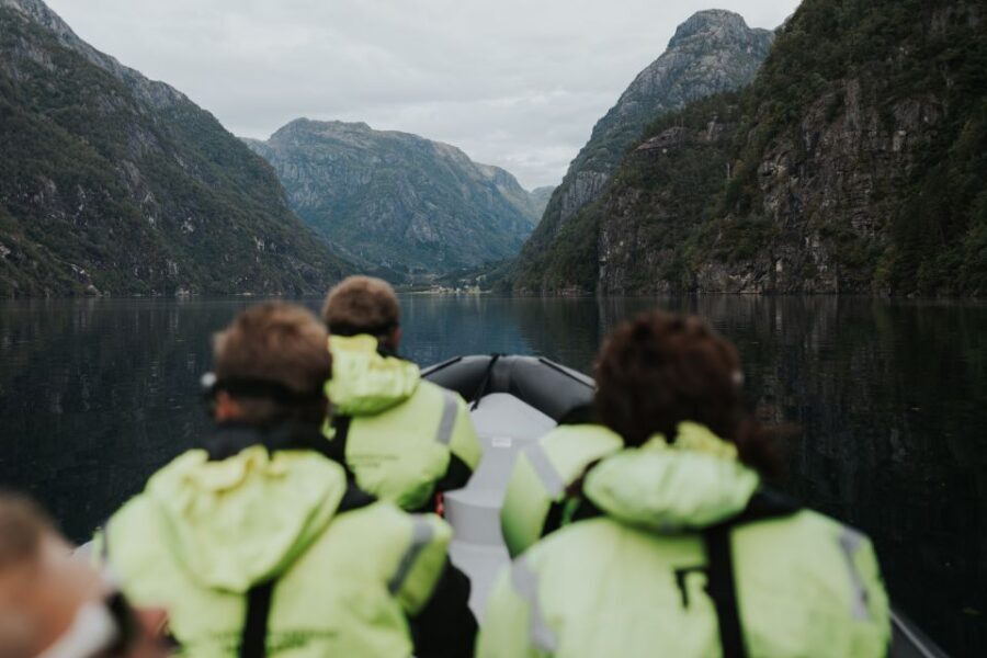 Øystese: Hardangerfjord RIB safari to the Fyksesund branch - An Authentic Norwegian Fjord Experience