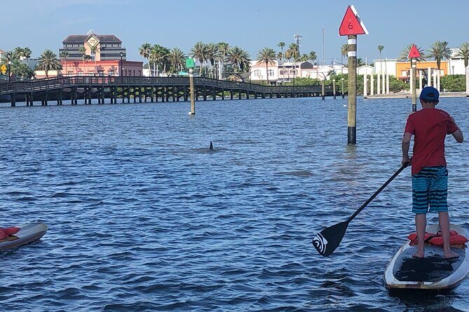 Paddle Board Rental - Summary: Why Choose This Paddleboard Rental?