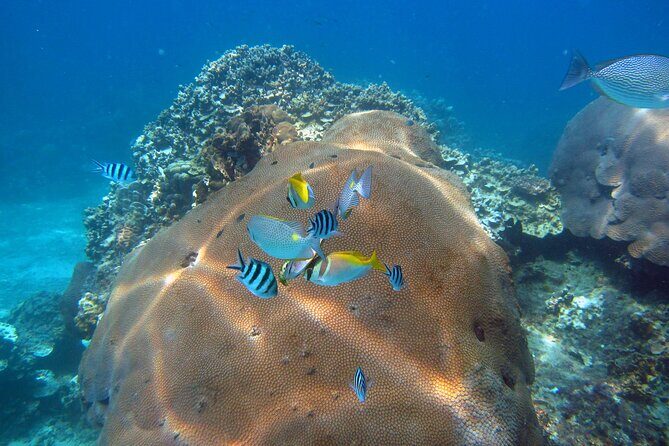 PADI Advanced Open Water Diver course Two days one night included accommodation - The Experience in Context