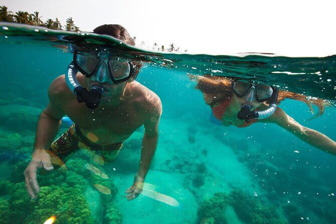 PADI Skin Diver (Snorkeling) - One Day Program - An Honest Look at the Experience