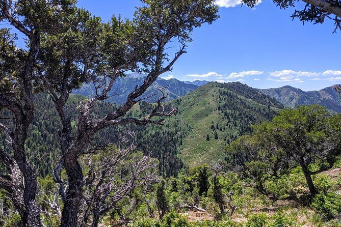Park City Hiking Activity with Local Guide - What Travelers Can Expect from the Experience
