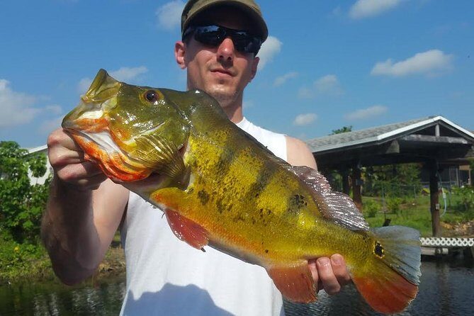 Peacock Bass Fishing Trip in Boynton Beach - Who Is This Tour Best For?