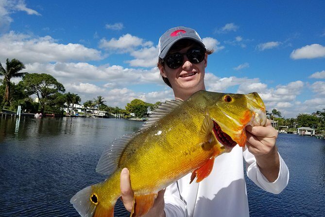 Peacock Bass Fishing Trip near Palm Beach - The Itinerary: What You Can Expect