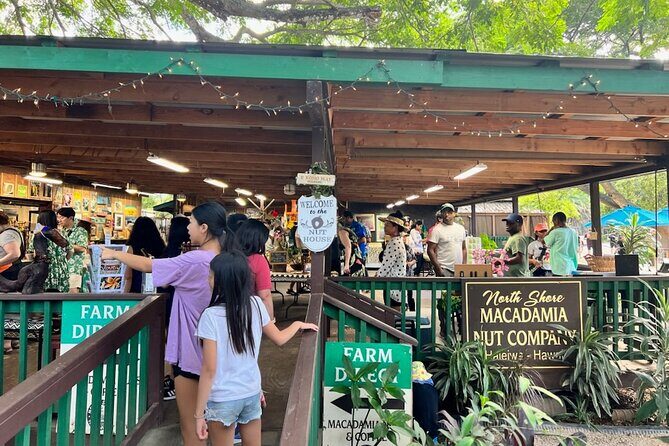 Pearl Harbor and Circle Island Tour - Who Should Consider This Tour?