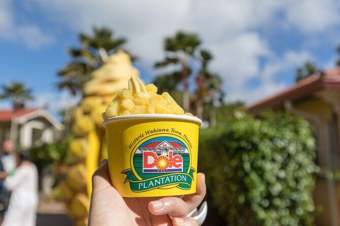 Pearl Harbor + Dole Plantation + Polynesian Center from Waikiki - Transportation, Group Size, and Overall Value