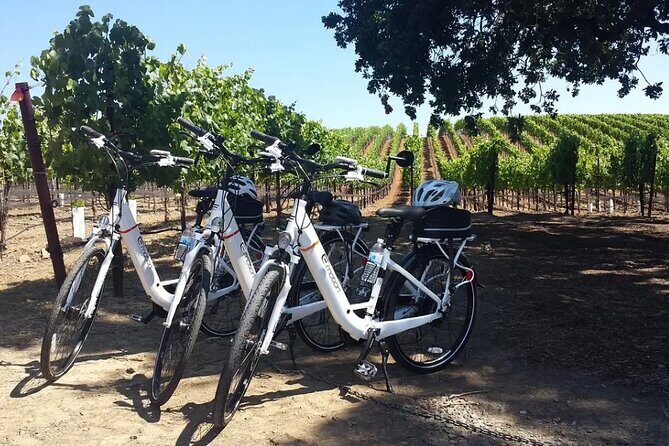 Pedal and Paddle Wine Tour in Arizona - The Alcantara Vineyard Experience